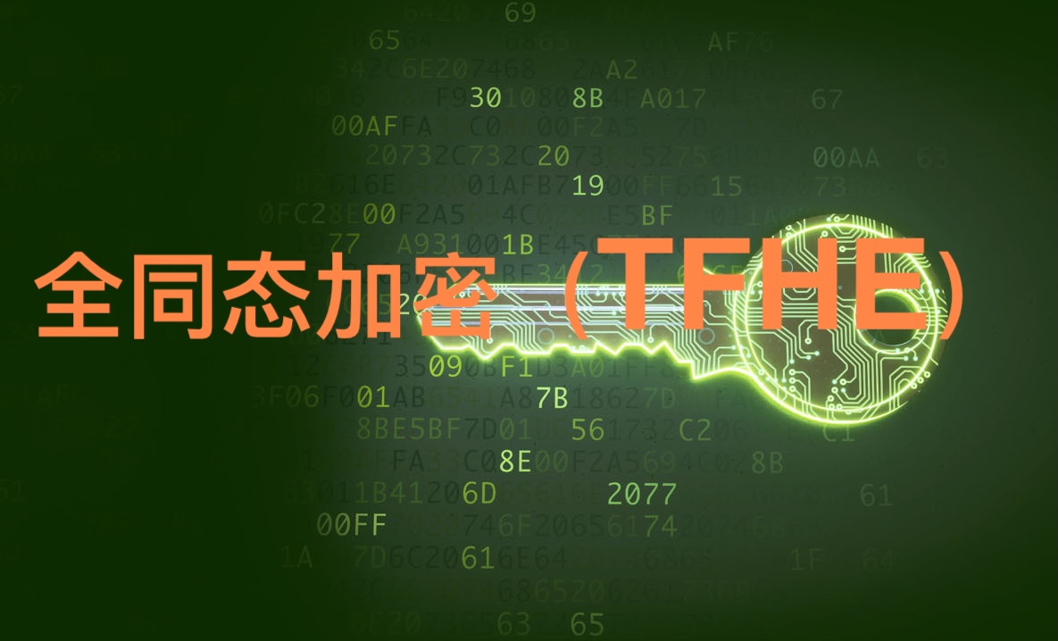 全同态加密（TFHE）_全同态加密基础知识-CSDN博客