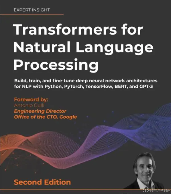 AI大模型书籍丨Dennis Rothman 大模型黑书无敌！强烈推荐（附PDF）_explainable ai,denis rothman ...