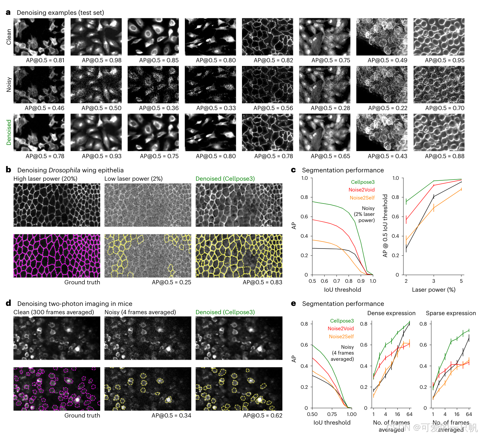 Cellpose3·一键式图像恢复，改进细胞分割-CSDN博客
