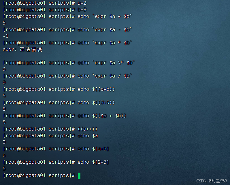 Linux中的shell_linux中shell-CSDN博客