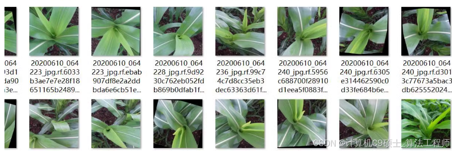 GitHub - QQ767172261/How-to-use-yolov8-training-Corn-Leaf-Disease ...