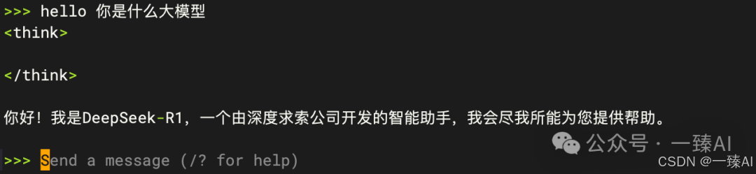 把AI带回家：DeepSeek-R1本地部署指南！再也不用担心卡顿了！！_ollama-CSDN博客