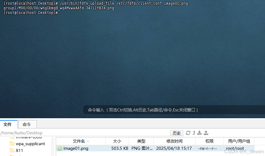 《Linux系统下FastDFS分布式存储与Nginx整合部署全流程详解》_fastdfs nginx-CSDN博客