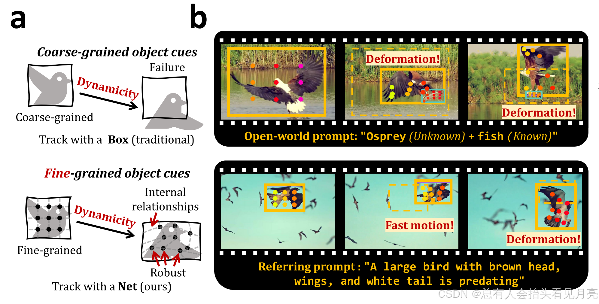 NetTrack: Tracking Highly Dynamic Objects with a Net——点跟踪CVPR2024_cotracker 点跟踪-CSDN博客