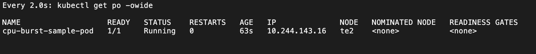 Koordinator 快速入门 (一)-CSDN博客