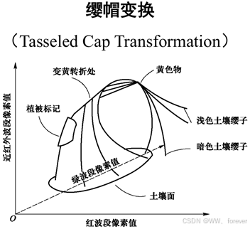 【光谱变换方法】流苏帽变换TCT_缨帽变换的基本原理-CSDN博客