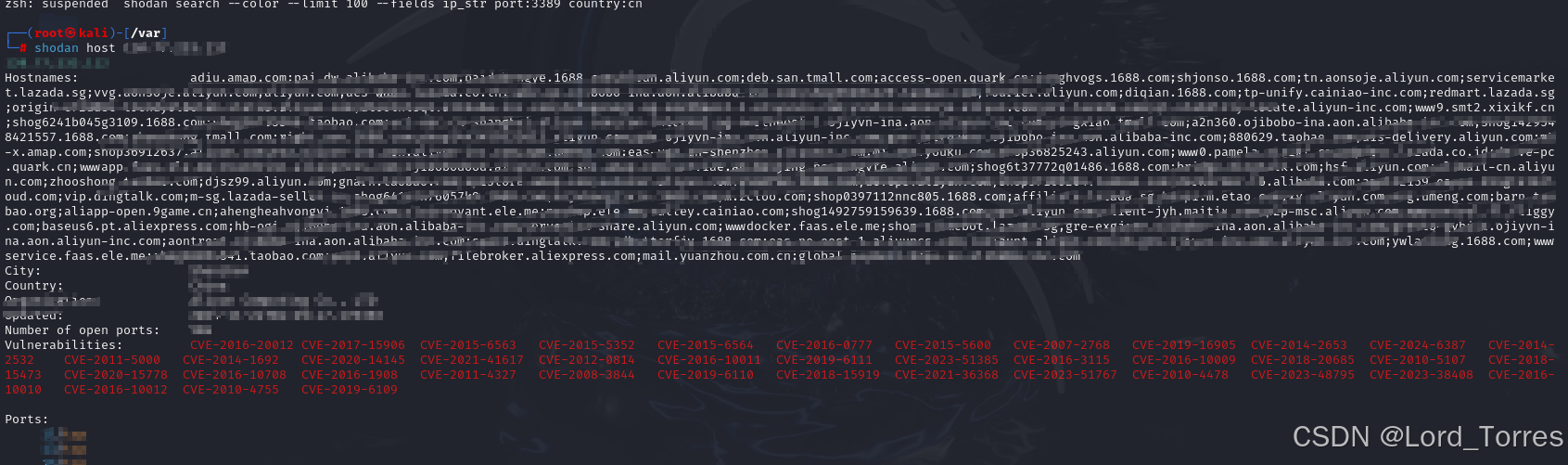 shodan(1-2)_shcdan-CSDN博客