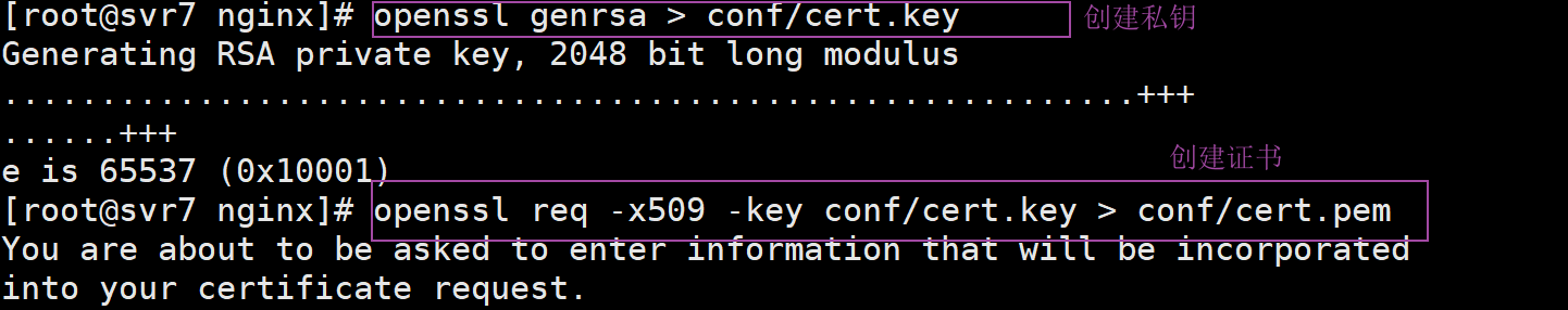 Linux-Day20.Nginx 安装部署-CSDN博客