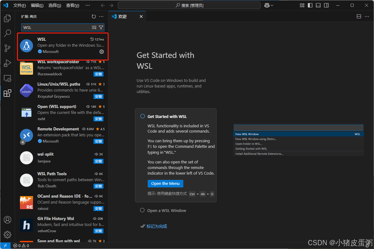 利用 Windows 子系统 Linux（WSL）开发 Python_wsl python-CSDN博客