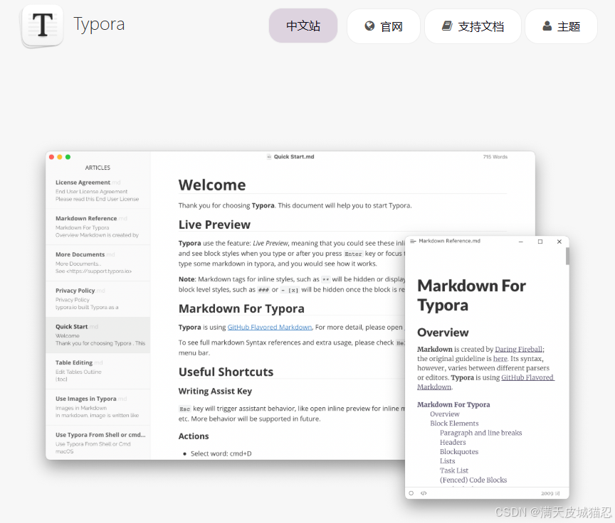 Typora工具 | 下载+安装+使用（可以打开.md文件的软件）_typora 下载-CSDN博客