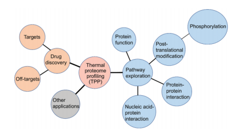 药物靶点研究 | CETSA vs. TPP ，从 “单点验证” 到“全景扫描”的飞跃-CSDN博客