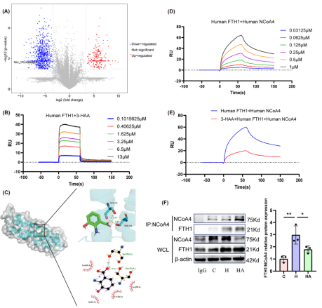 联用 LiP-MS 技术与 SPR 技术鉴定和验证蛋白相互作用_spr验证 二者结合-CSDN博客
