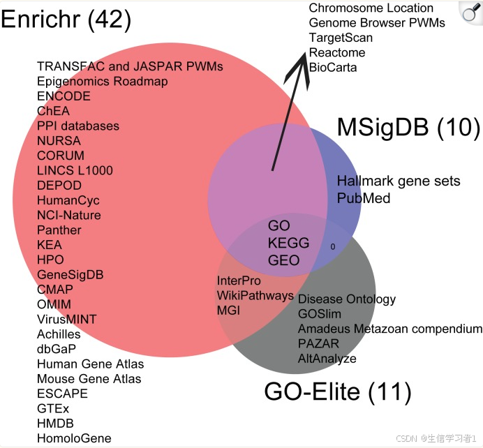 数据分析：enrichR基因的通路富集分析-CSDN博客