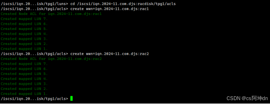 Oracle 11g RAC集群部署（一文到底）-CSDN博客