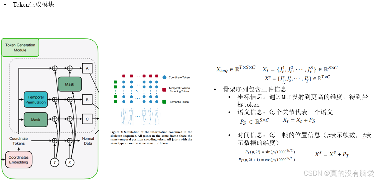 Spatial-Temporal Specialized Transformer for Skeleton-based Action Recognition-CSDN博客