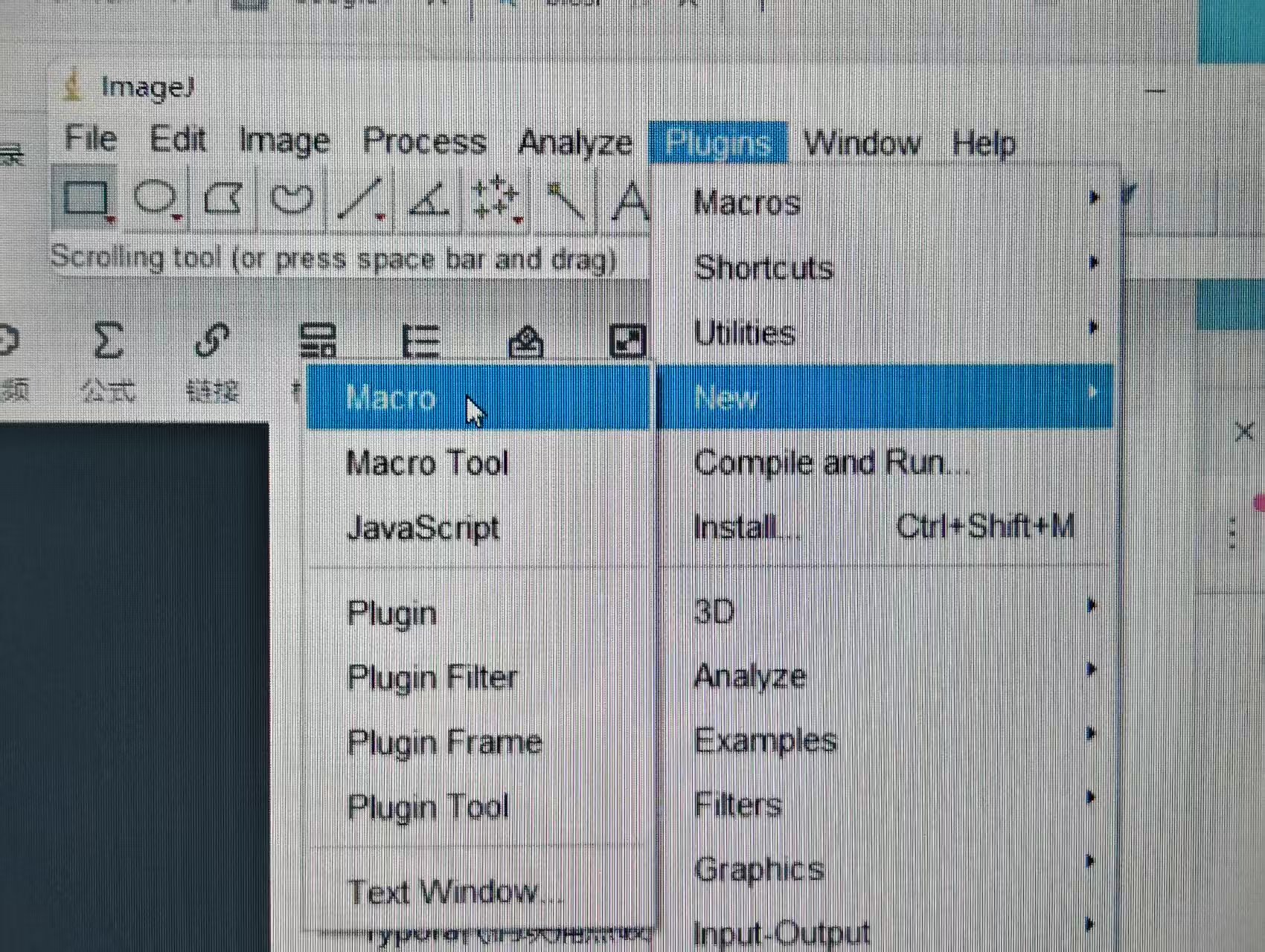 ImageJ软件批量提取stack文件的特定位置处xz截面_imagej获取stack轴向强度曲线-CSDN博客