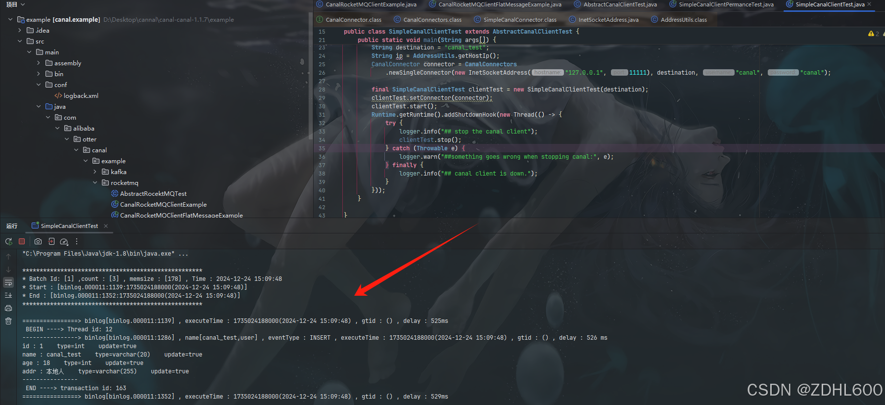 Mysql Canal配置文件详解、canal搭建、Java代码实现数据异构、多客户端连接同一个instance、两个客户分别订阅不同instance订阅是否生效解释_canal 配置文件 ...