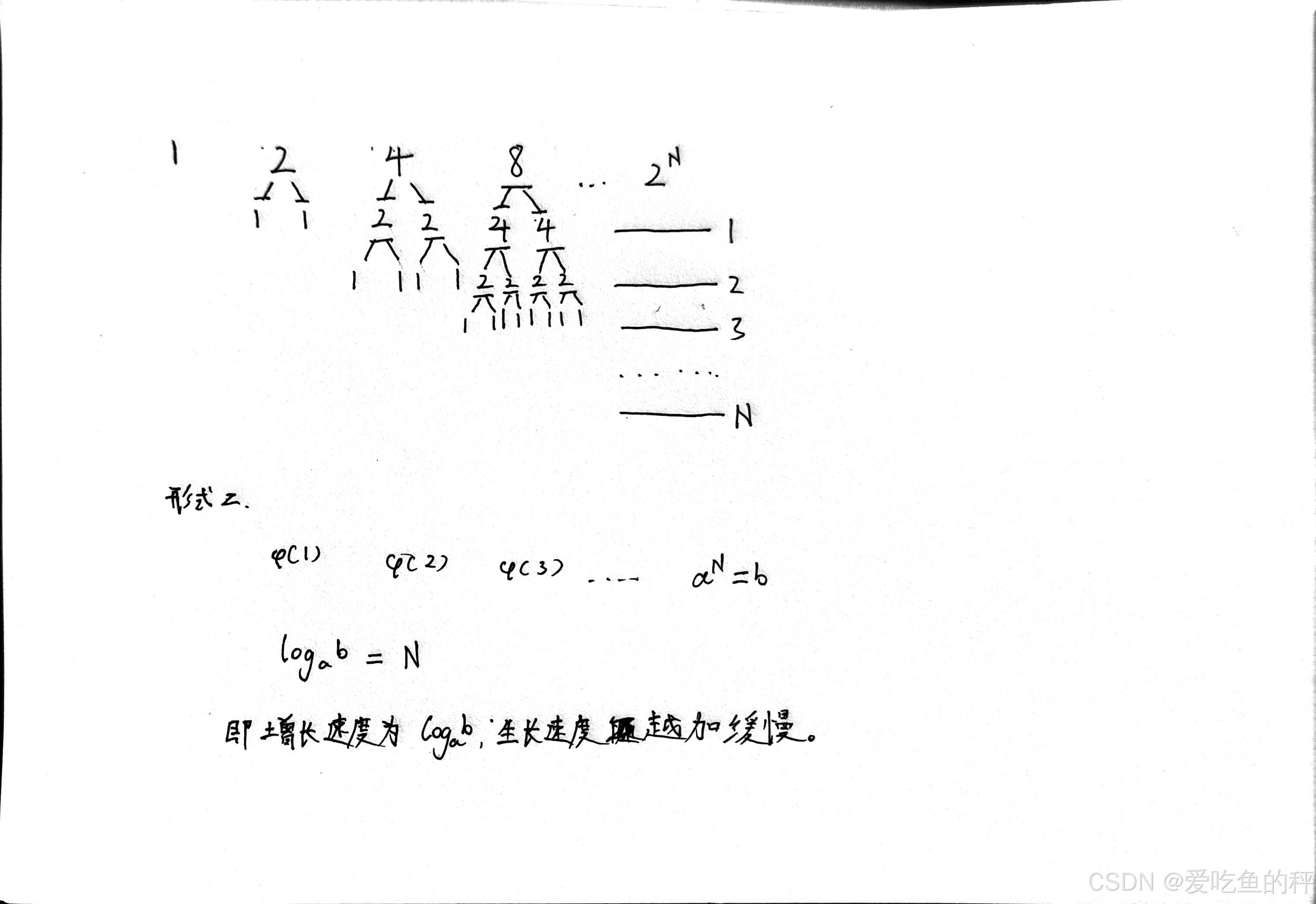 波菲利树生长速度关系式（The growth rate relationship of Porphyry tree）-CSDN博客