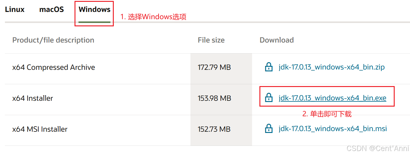 JDK17安装教程_安装jdk17-CSDN博客