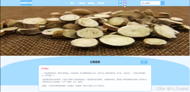 (免费送源码)计算机毕业设计原创定制:javaspringbootmysql 基于springboot和vue框架的微博客系统 Csdn博客