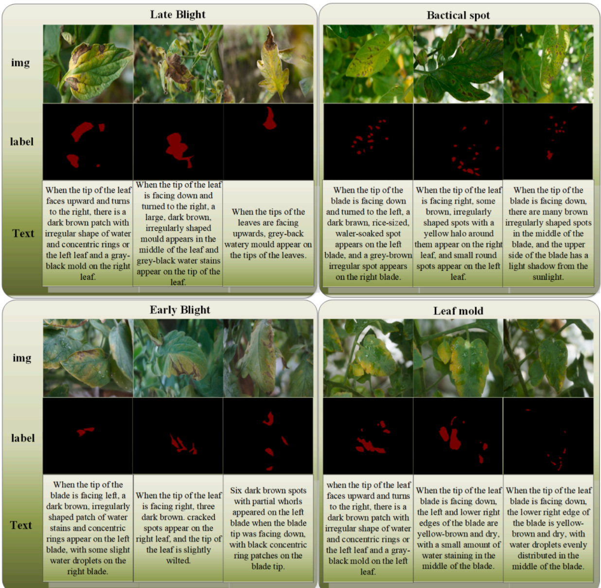 LVF：基于图像和文本融合的多模态番茄病害分割框架_lvf-tomato 图像-文本分割数据集(2024新发) 内容:2000张高精度番茄叶片 ...