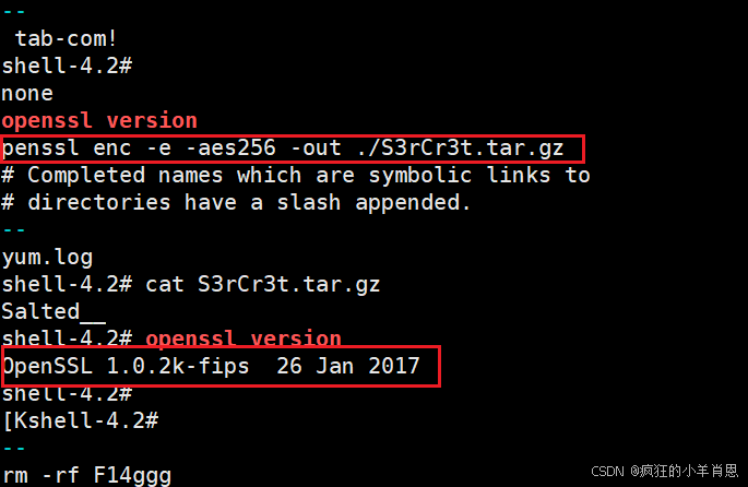 DASCTF2024暑期挑战赛|为热爱，并肩作战-CSDN博客