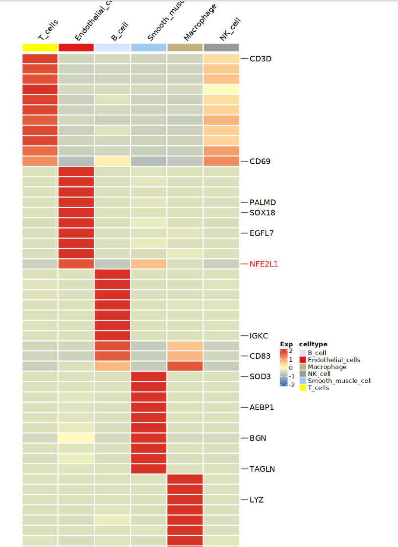 ComplexHeatmap绘图-CSDN博客