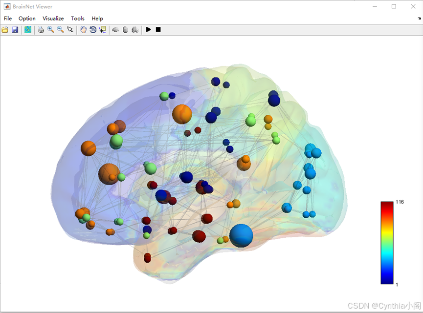 BrainNet Viewer中选择不同模板的surface file所呈现的不同效果对比_brainnet view surface-CSDN博客