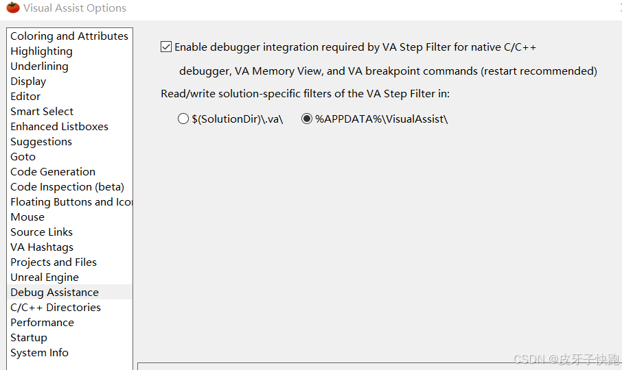 VS2022小番茄(visual assist)和彩虹括号(viasfora)设置-CSDN博客