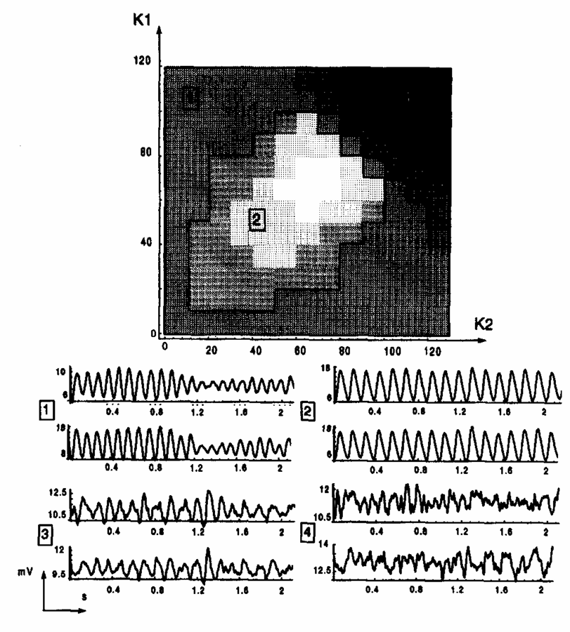 Jansen-Rit原始论文翻译和笔记（含部分代码）_jansen-rit视频讲解-CSDN博客