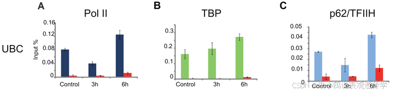 染色质免疫沉淀(ChIP)技术笔记之(4)：实验结果&示例展示_chipqpcr结果分析-CSDN博客