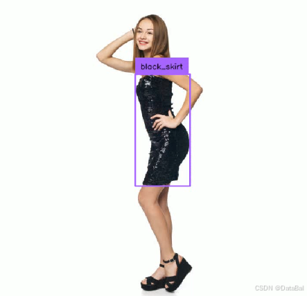 数据集-目标检测系列- 黑色裙子 检测数据集 black_skirt ＞＞ DataBall-CSDN博客