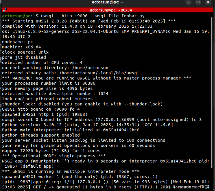 怎样启动uWSGI服务器_uwsgi启动-CSDN博客