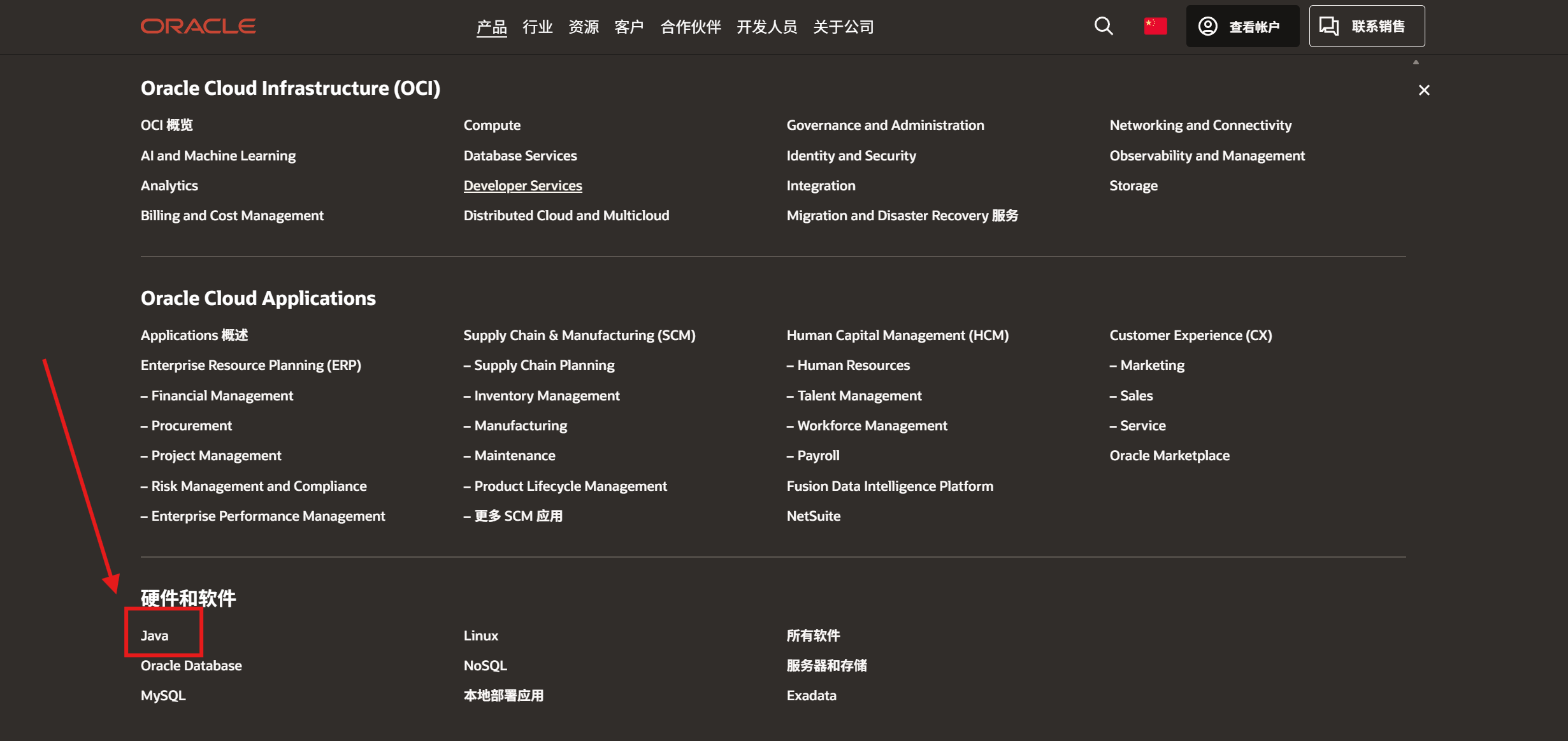 JDK与IDEA的安装及使用_idea jdk-CSDN博客