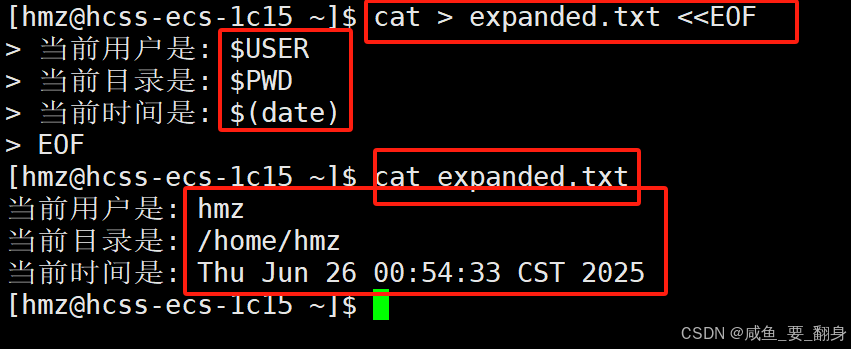 Linux基本命令篇 —— cat命令_linux cat-CSDN博客