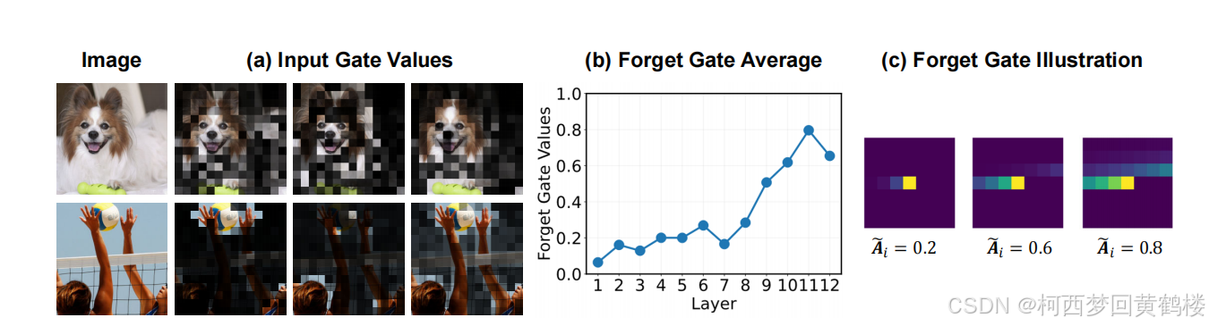 《Demystify Mamba in Vision: A Linear AttentionPerspective》（MLLA）文章翻译-细读理解_demystify mamba in ...