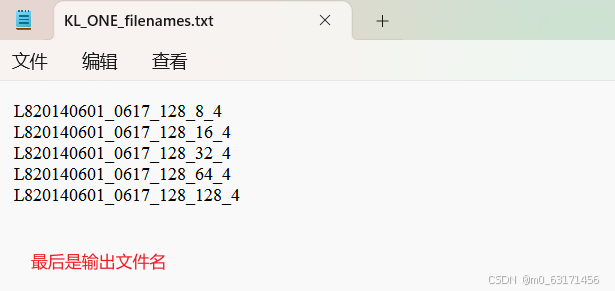 COSI-Corr冰川流速提取教程-CSDN博客