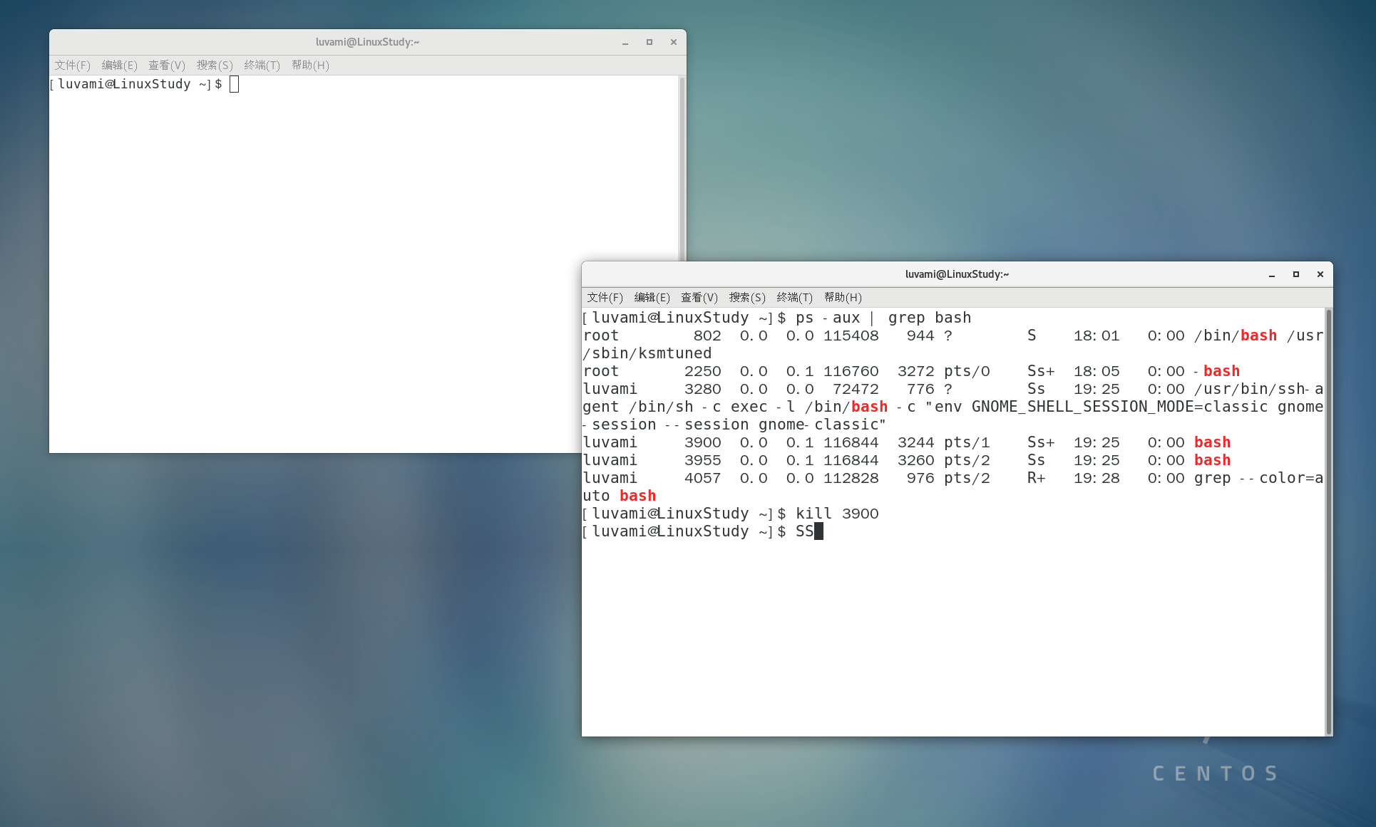 Linux学习篇10——linux 进程管理深度解析：进程基础、常用指令、服务管理与系统监控 Csdn博客