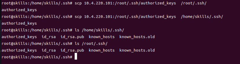 ubuntu使用remmina软件进行ssh免密登录_ubuntu remmina-CSDN博客