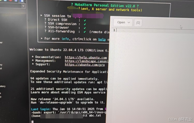 Gym使用camera在服务器无可视化，[Error] [carb.windowing-glfw.plugin] GLFW initialization failed.[Error ...