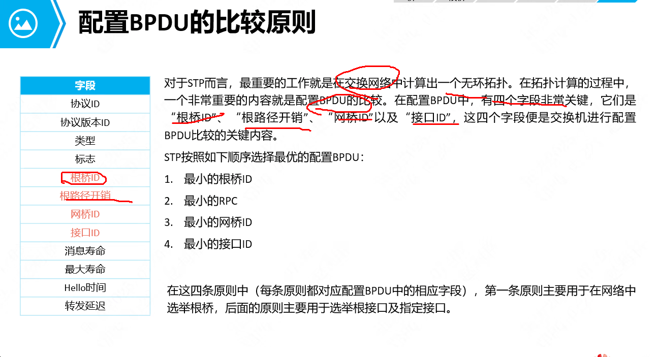 stp状态转换及配置bpdu报文格式-CSDN博客