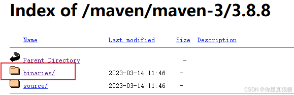 Maven安装与配置_maven3.8.8-CSDN博客