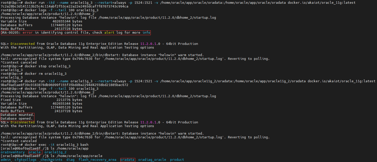 Oracle 11g Docker安装和配置_docker安装oracle11g-CSDN博客
