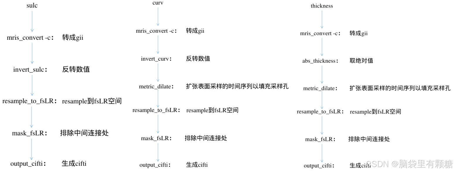 关于fMRIPrep的CIFTI-CSDN博客