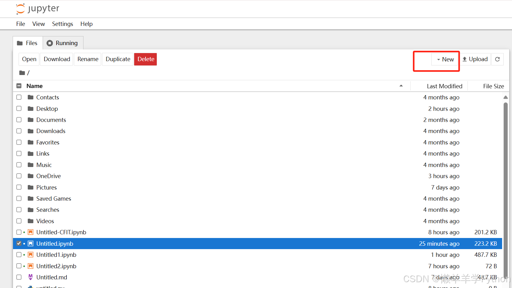 Python打卡Day2——新建数据及查看数据_ipynd代码怎么看数据-CSDN博客