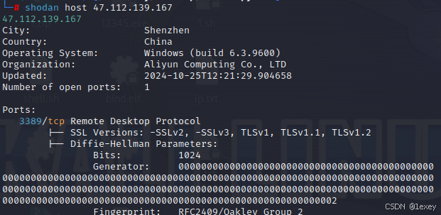 shodan基本语法（1）_shodan搜索语法-CSDN博客