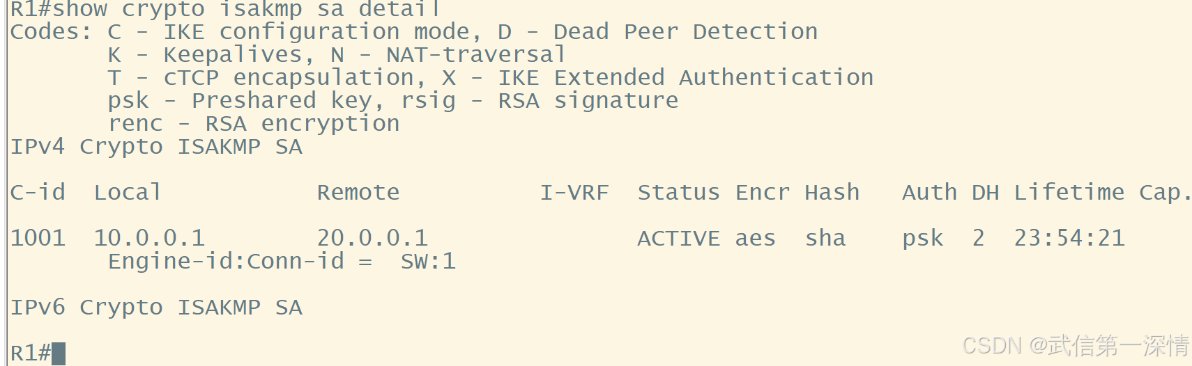 GRE Over IPSec搭建和测试_routeros gre-CSDN博客
