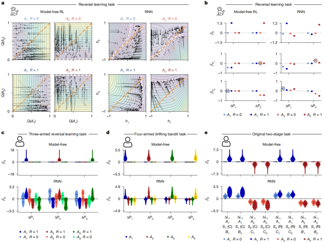 2025-Nature-Discovering cognitive strategies with tiny recurrent neural networks_论文解读discovering ...