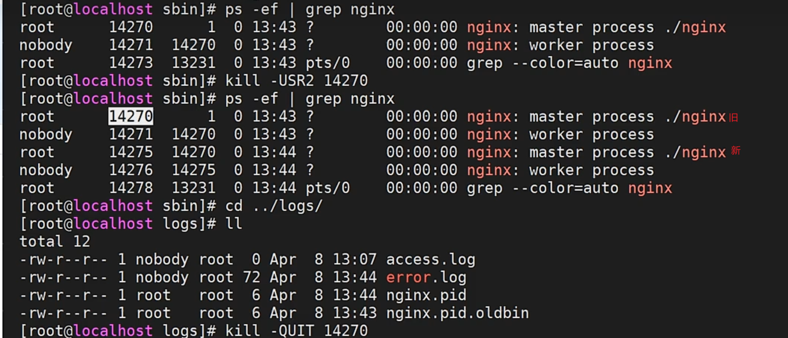 Nginx基础_nginx csdn-CSDN博客